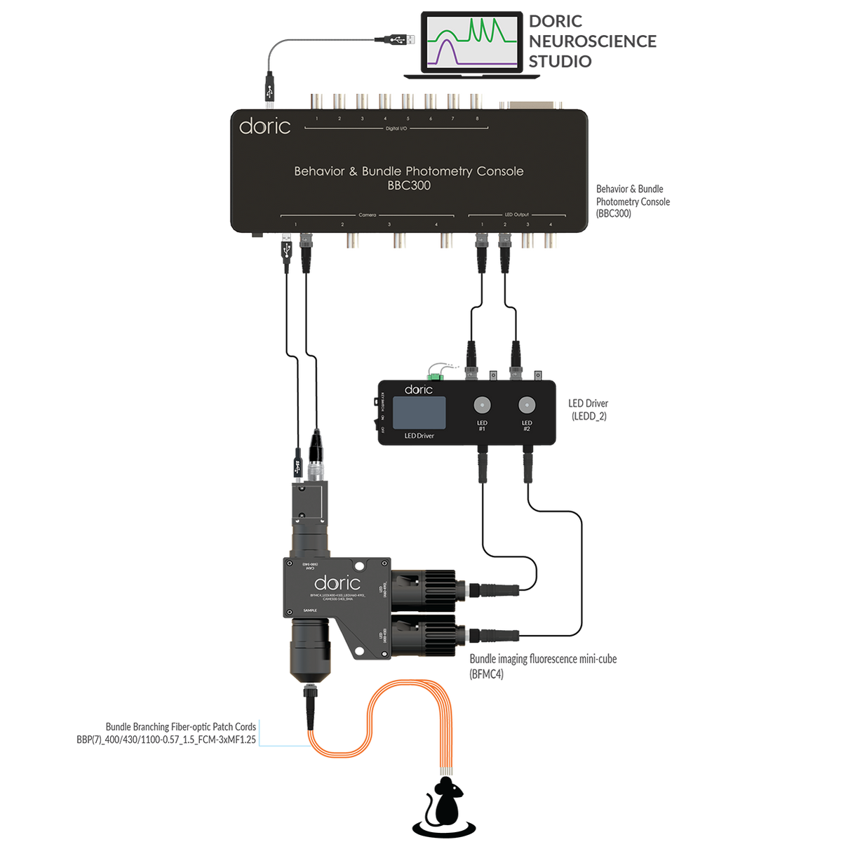 Bundle-imaging Fiber Photometry System – Doric Lenses Inc.