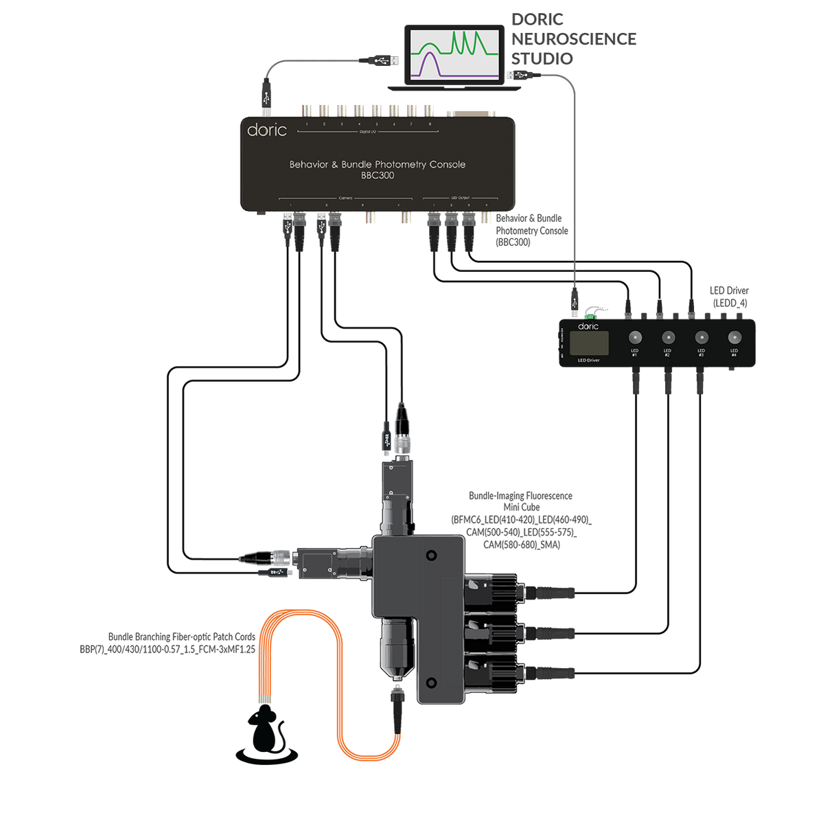 Bundle-imaging Fiber Photometry System – Doric Lenses Inc.