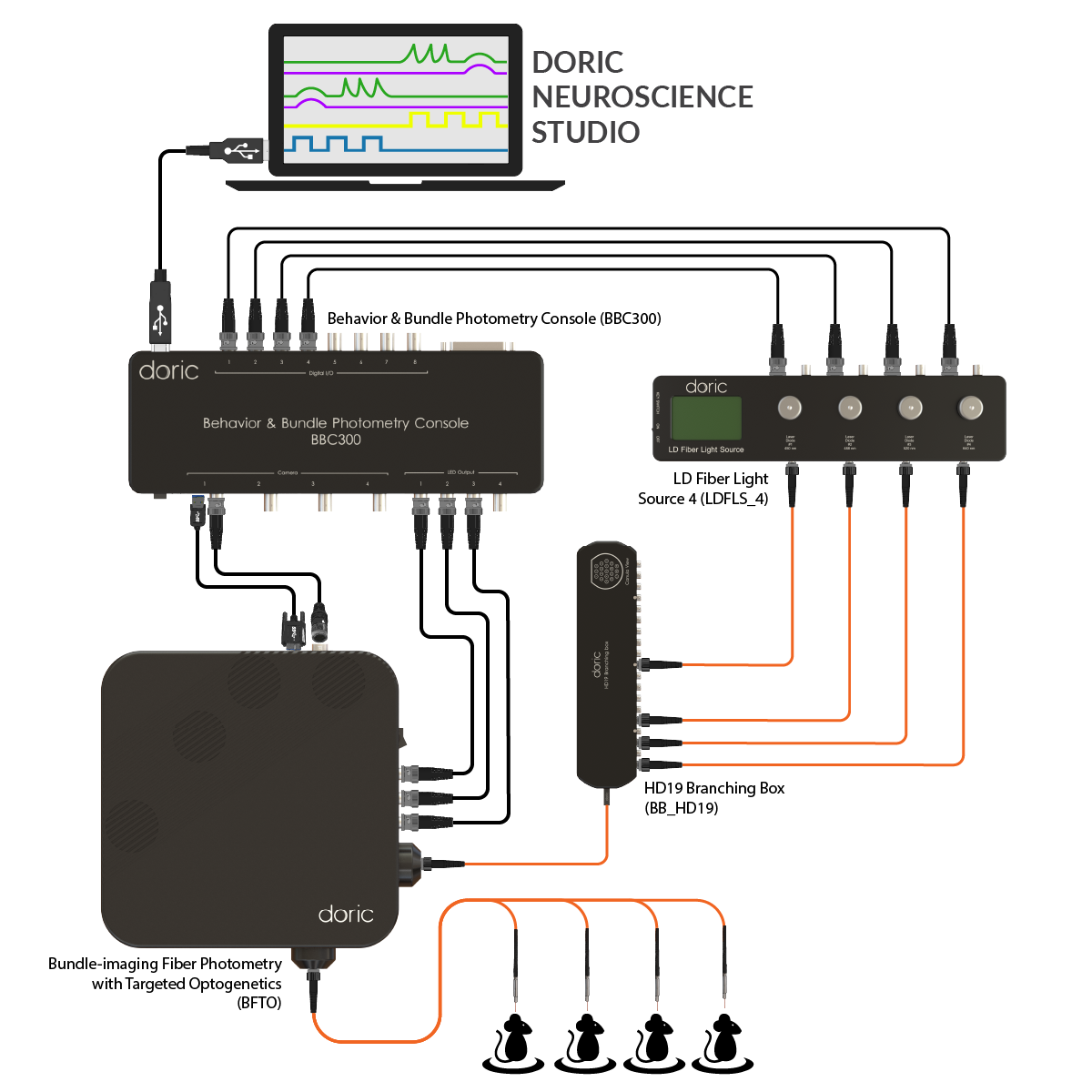 Bundle-imaging Fiber Photometry with Targeted Optogenetics System ...