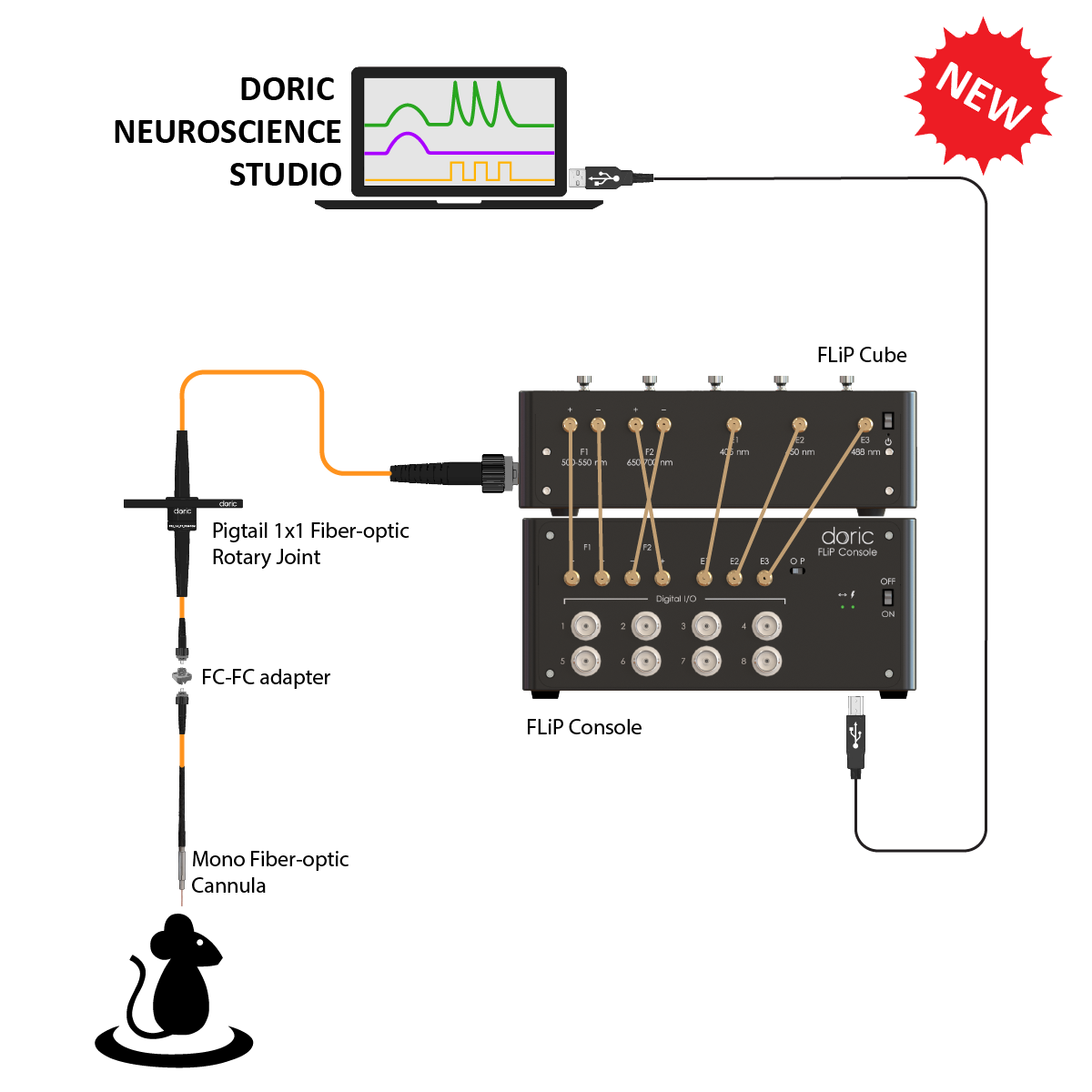 Home – Doric Lenses Inc.