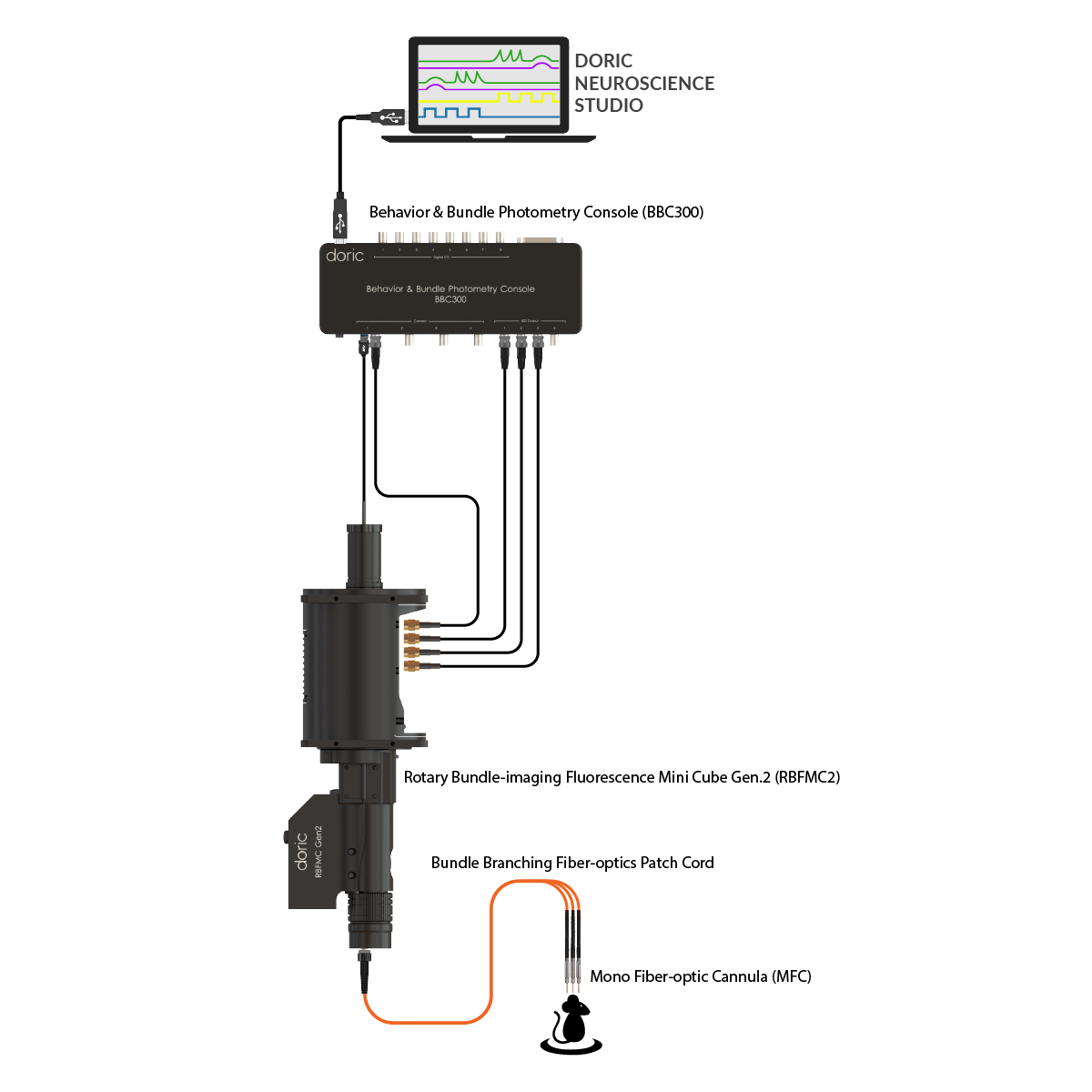 Rotary Bundle-imaging Fluorescence Mini Cubes Gen.2 - System – Doric ...