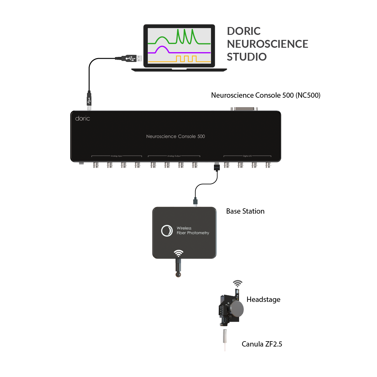Wireless Photometry – Doric Lenses Inc.