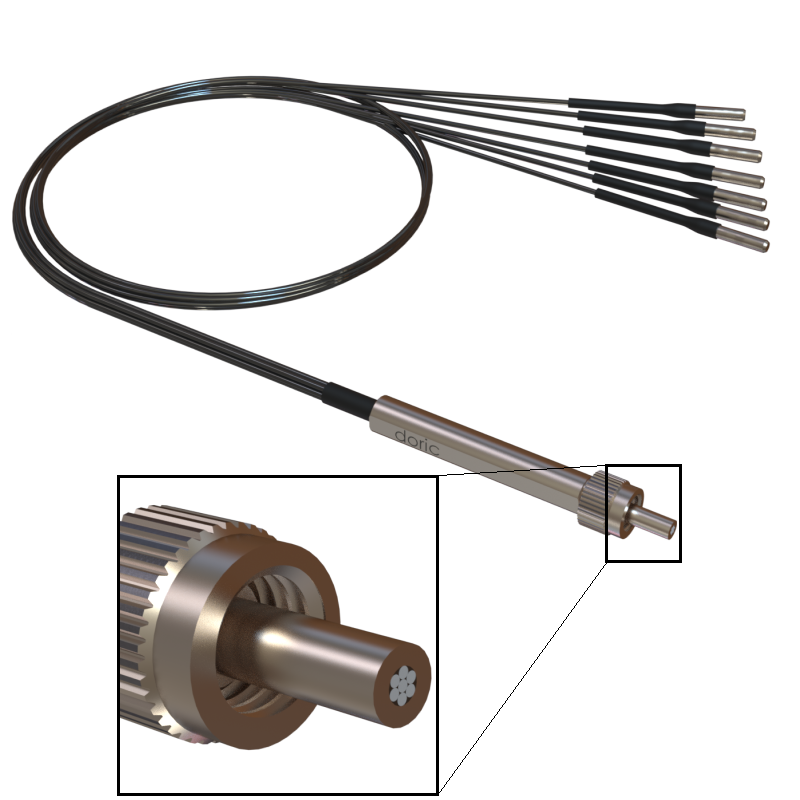 Bundle Branching Fiber-optic Patch Cord – Doric Lenses Inc.