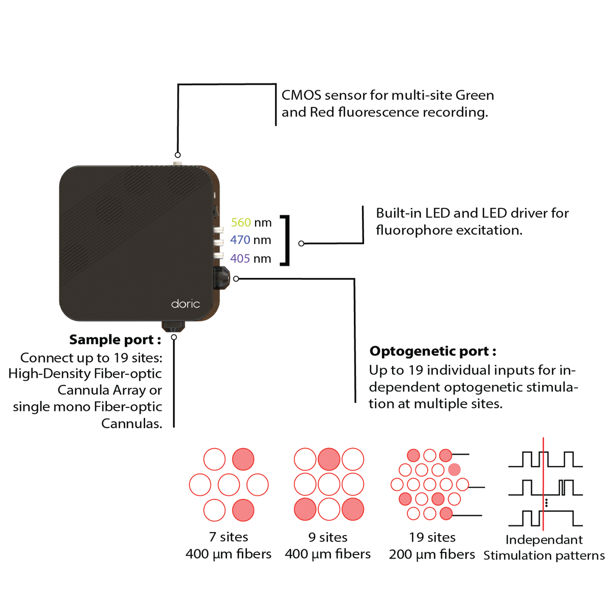 Bundle-imaging Fiber Photometry Cube with Targeted Optogenetics – Doric ...