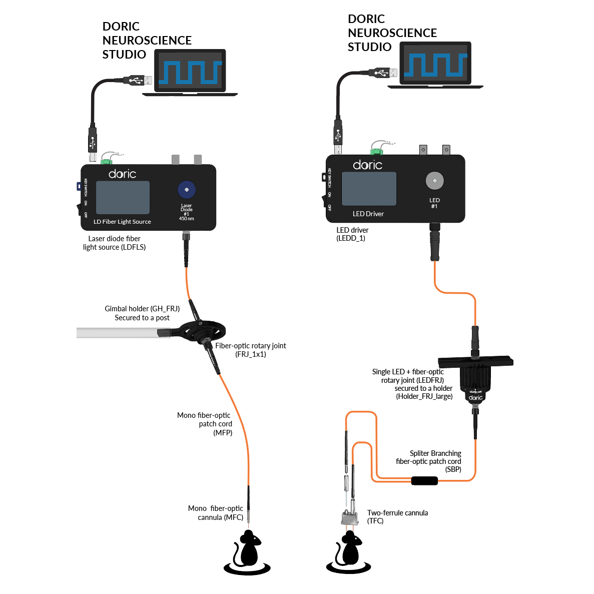 Optogenetic System – Doric Lenses Inc.