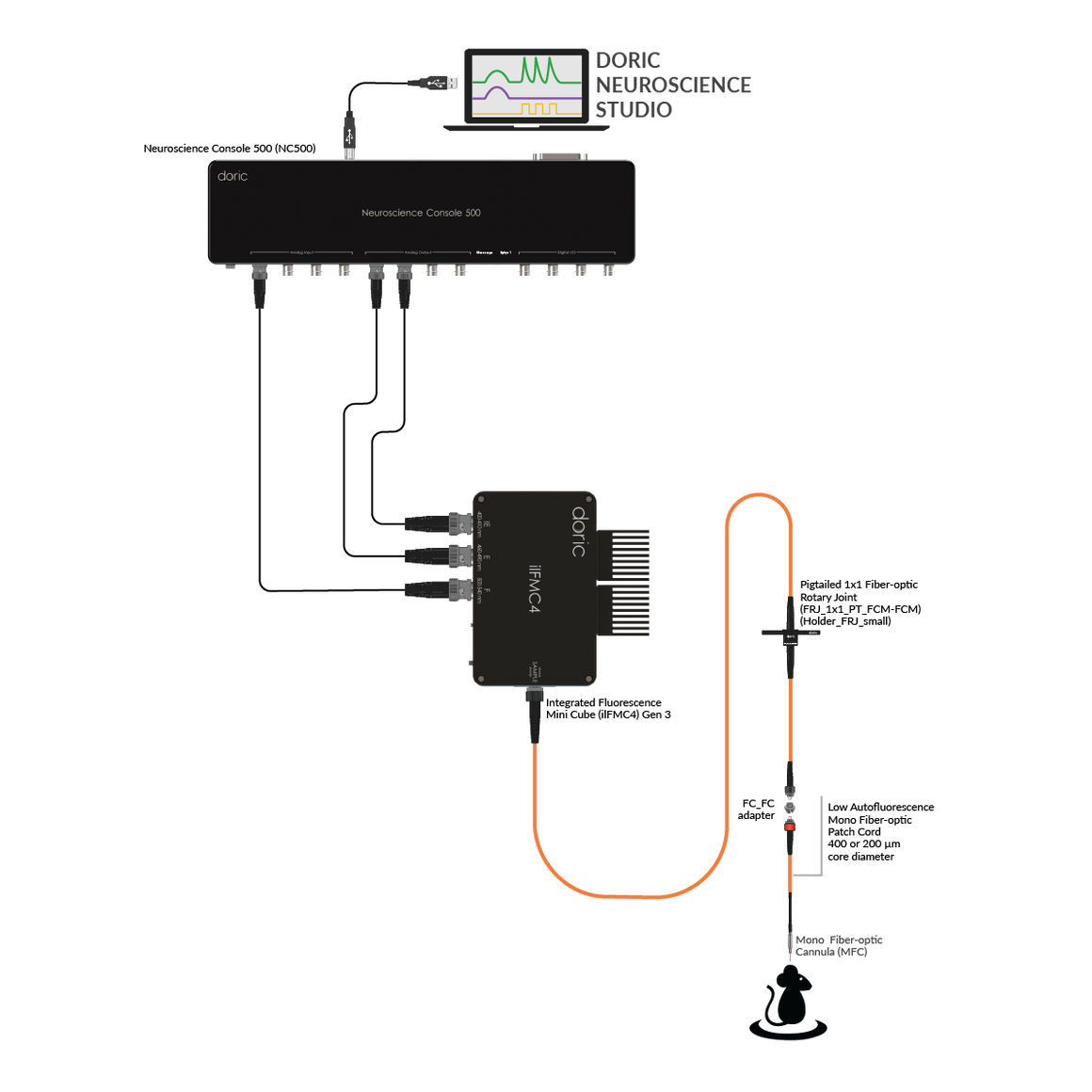 Basic Fiber Photometry System – Doric Lenses Inc.