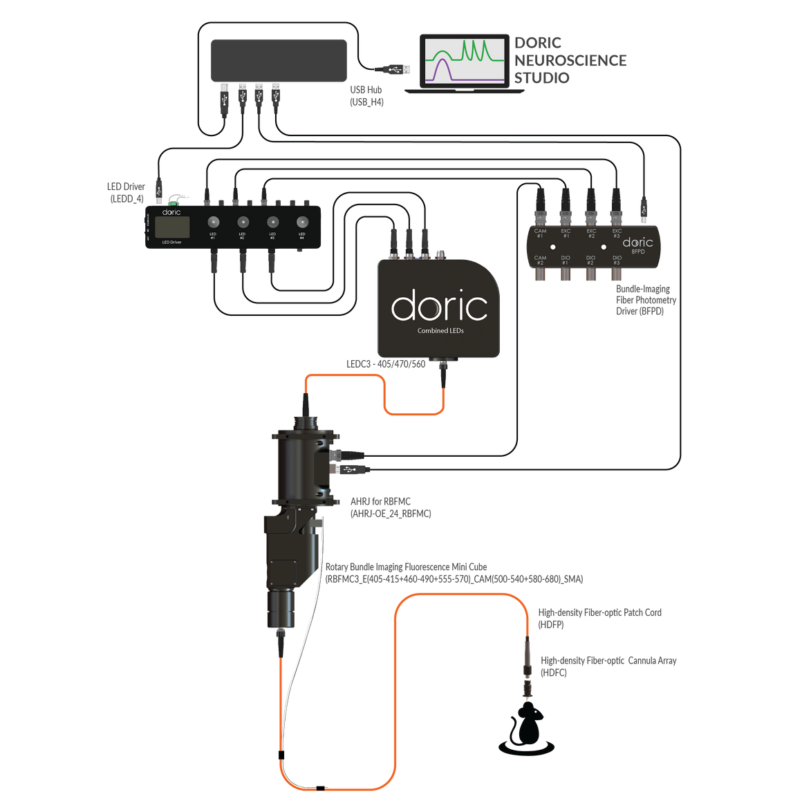 Rotary Bundle-imaging Fluorescence Photometry System (OBSOLETE) – Doric ...